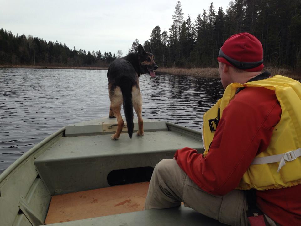 HRD and Specialty Search – King County Search Dogs