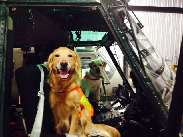 Learn – King County Search Dogs