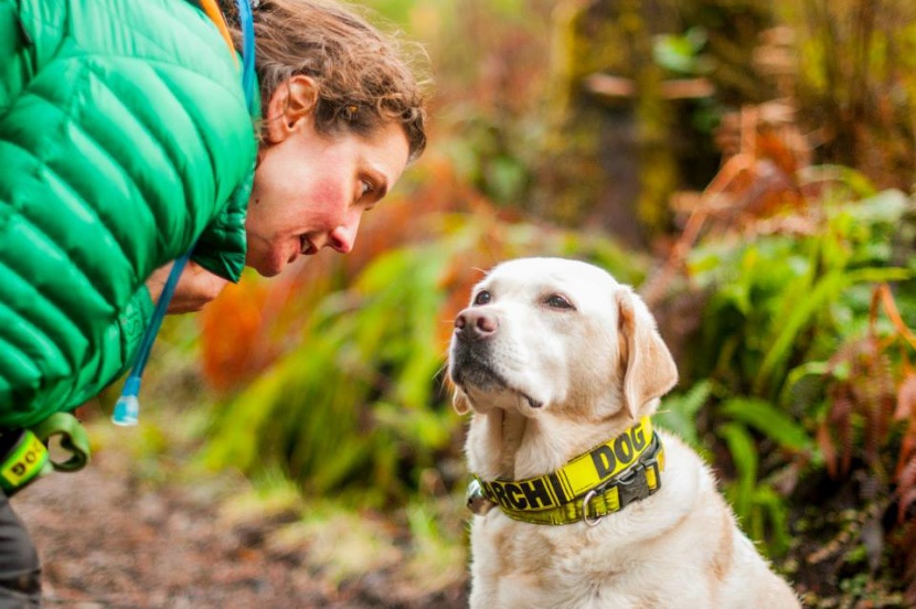 YOU Can Help – King County Search Dogs