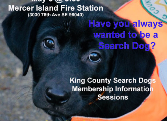 King County Search Dogs