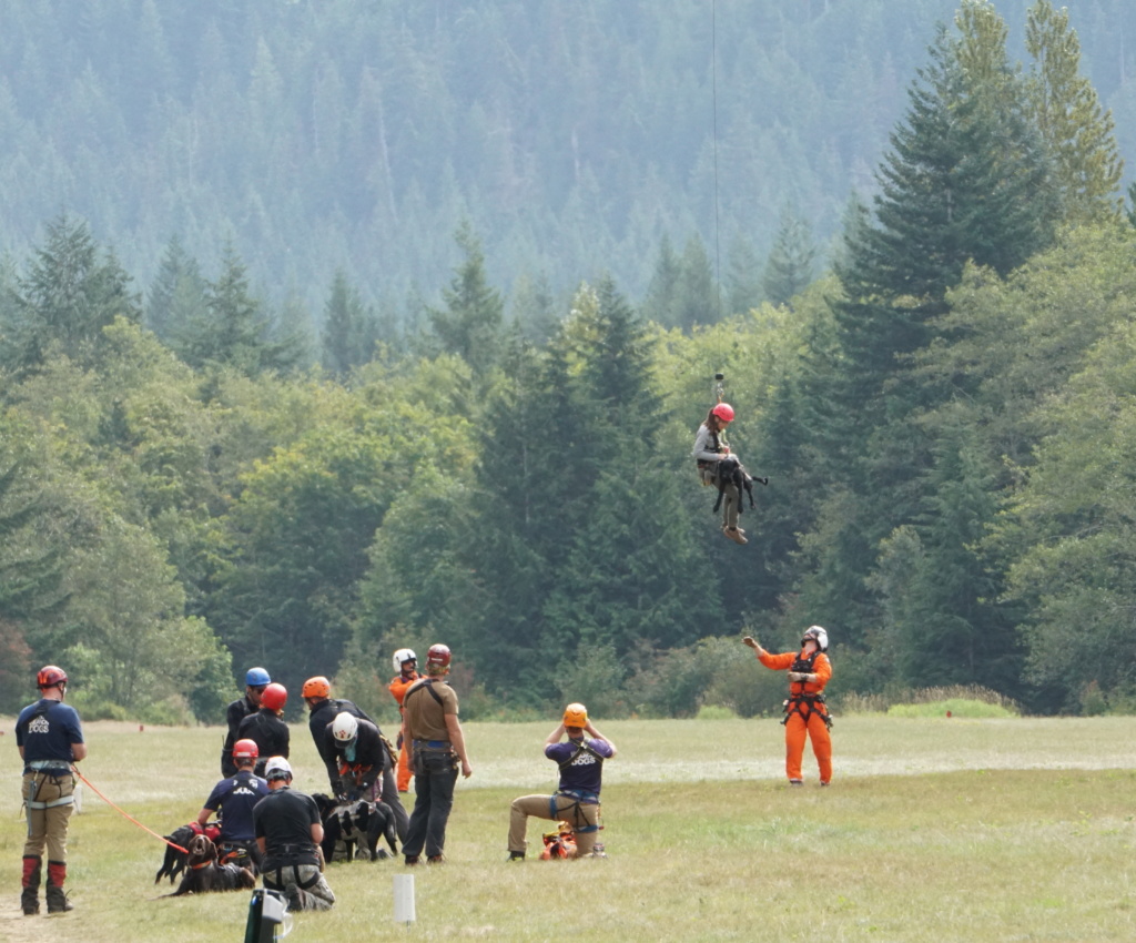 DSC03057 – King County Search Dogs