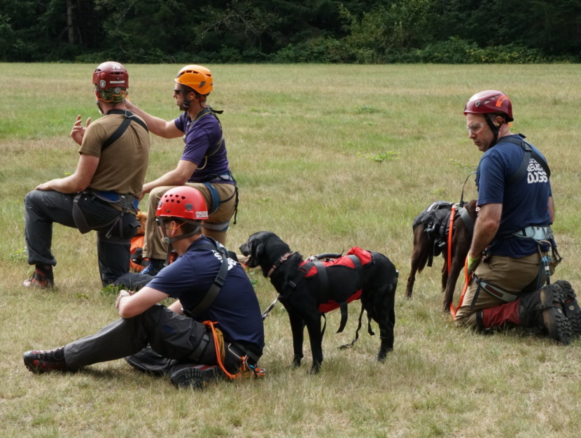 DSC03059 – King County Search Dogs