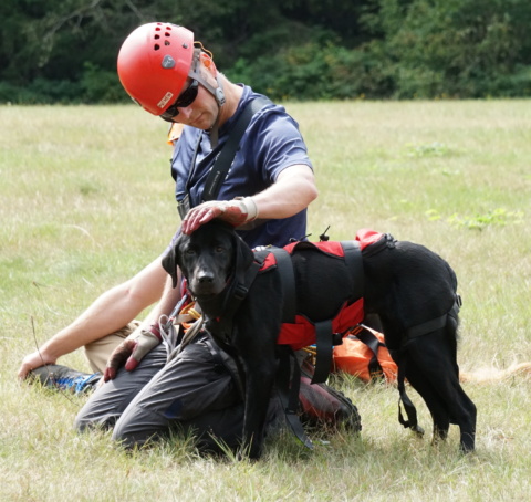 DSC03089 – King County Search Dogs