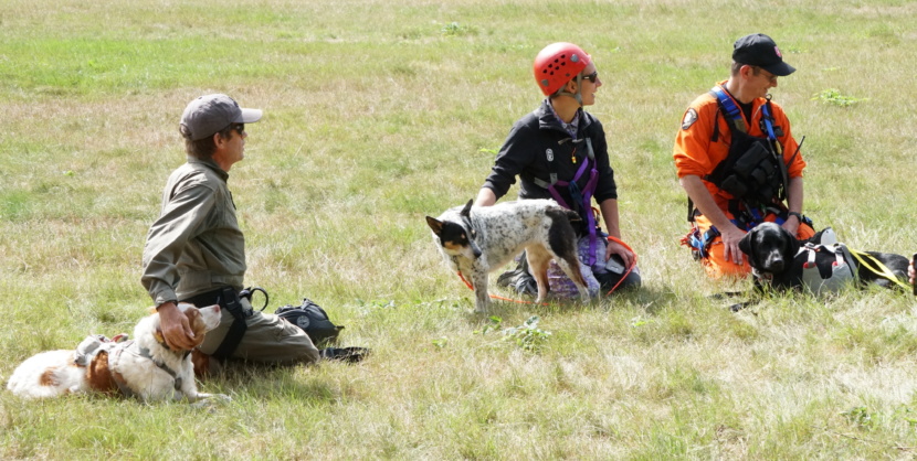 DSC03103 – King County Search Dogs