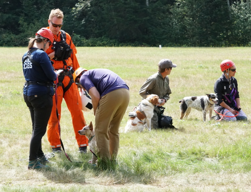 DSC03105 – King County Search Dogs