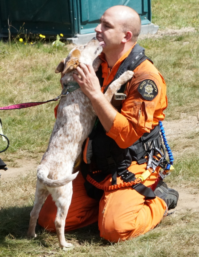 DSC03107 – King County Search Dogs
