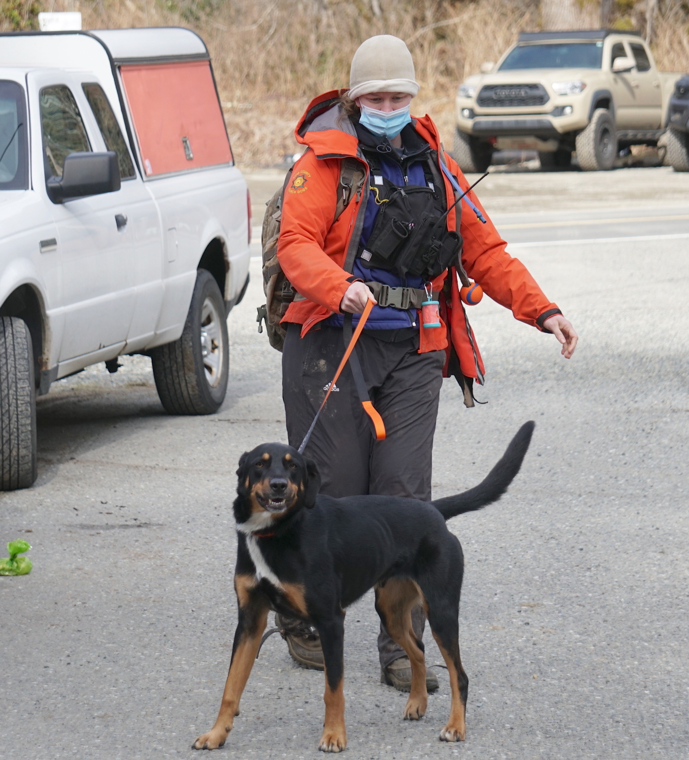 Spring 2021 Training – King County Search Dogs